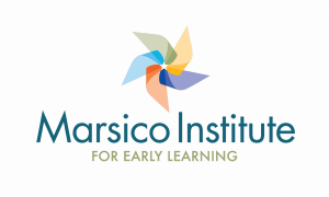 STEMIE Learning Trajectories